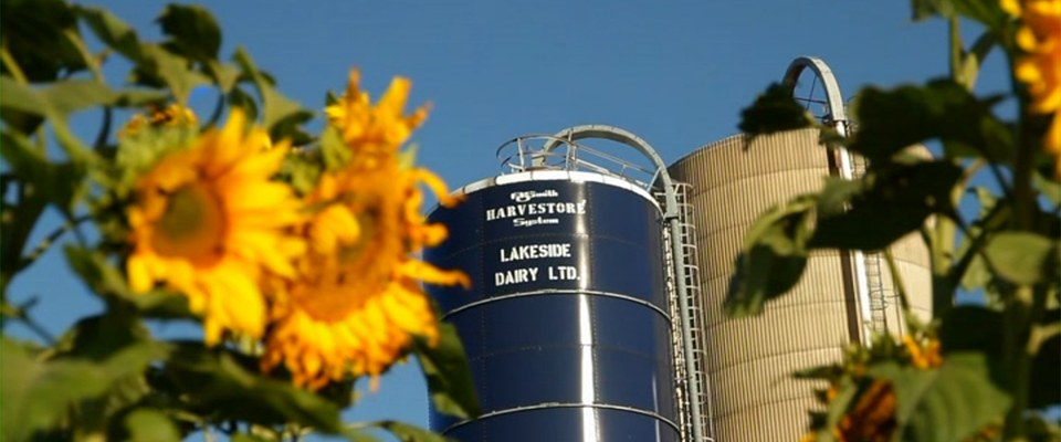 Lakeside Dairy Ltd.